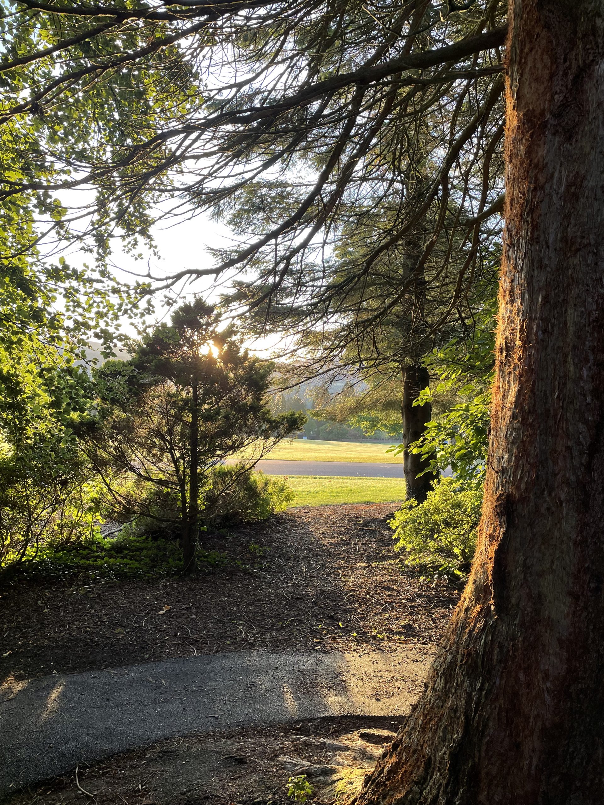 Aberdare Park - AberdareOnline