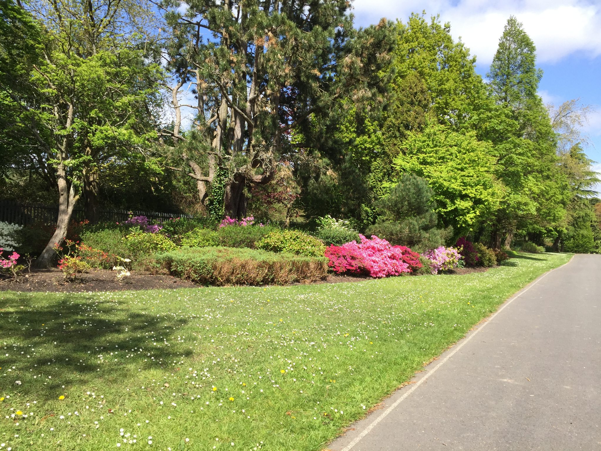 Aberdare Park - AberdareOnline